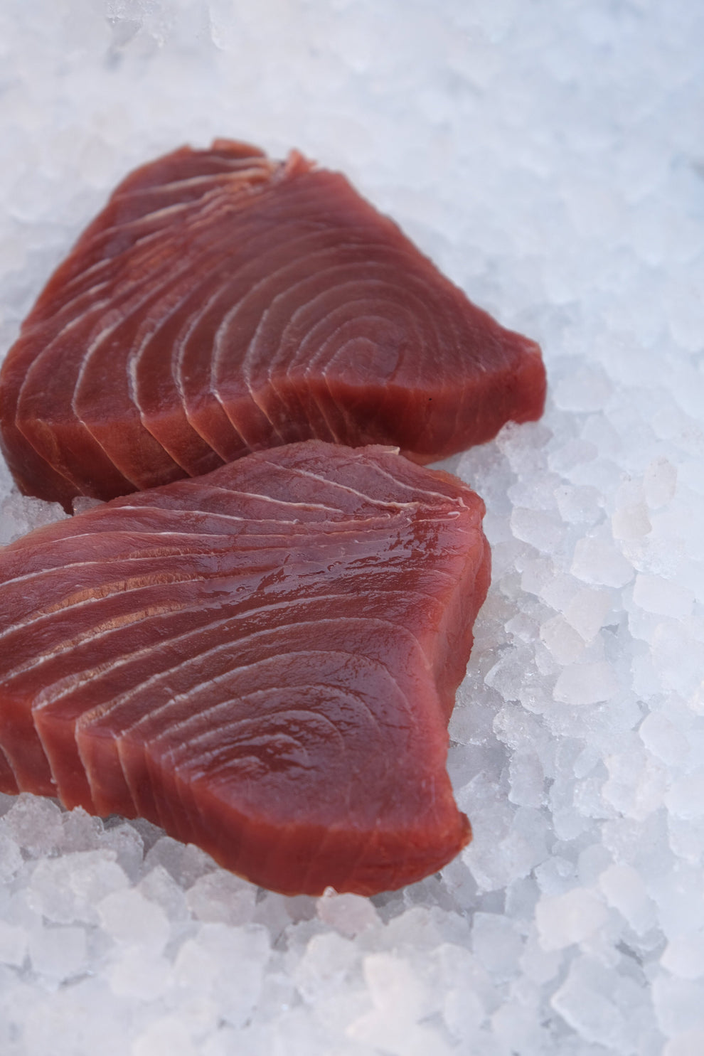 Sashimi Grade Tuna Steak – Life Of Fish